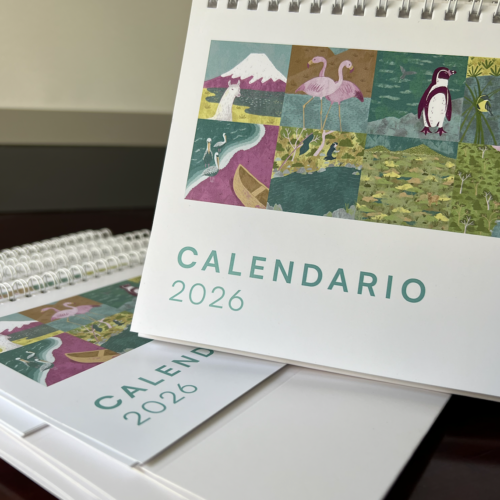 “VILLA INFLAMABLE DECLARATION FOR ACCESS TO JUSTICE FOR ALL AND LEGAL ...